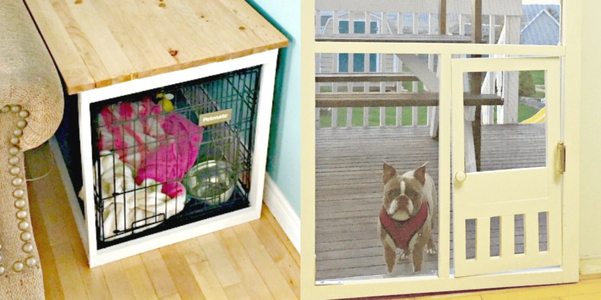 5 Dog DIYs that will save you money – Heather's Handmade Life